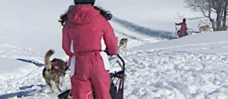 Colonie de vacances neige / montagne-Trappeurs du Grand Nord | CAP JUNIORS